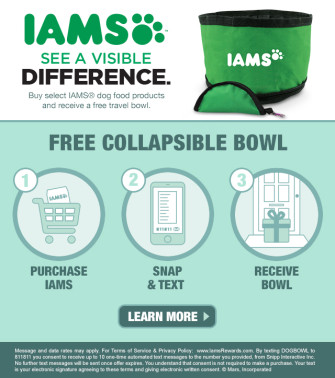 IAMS Visible Difference Challenge