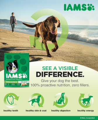 IAMS Visible Difference Challenge