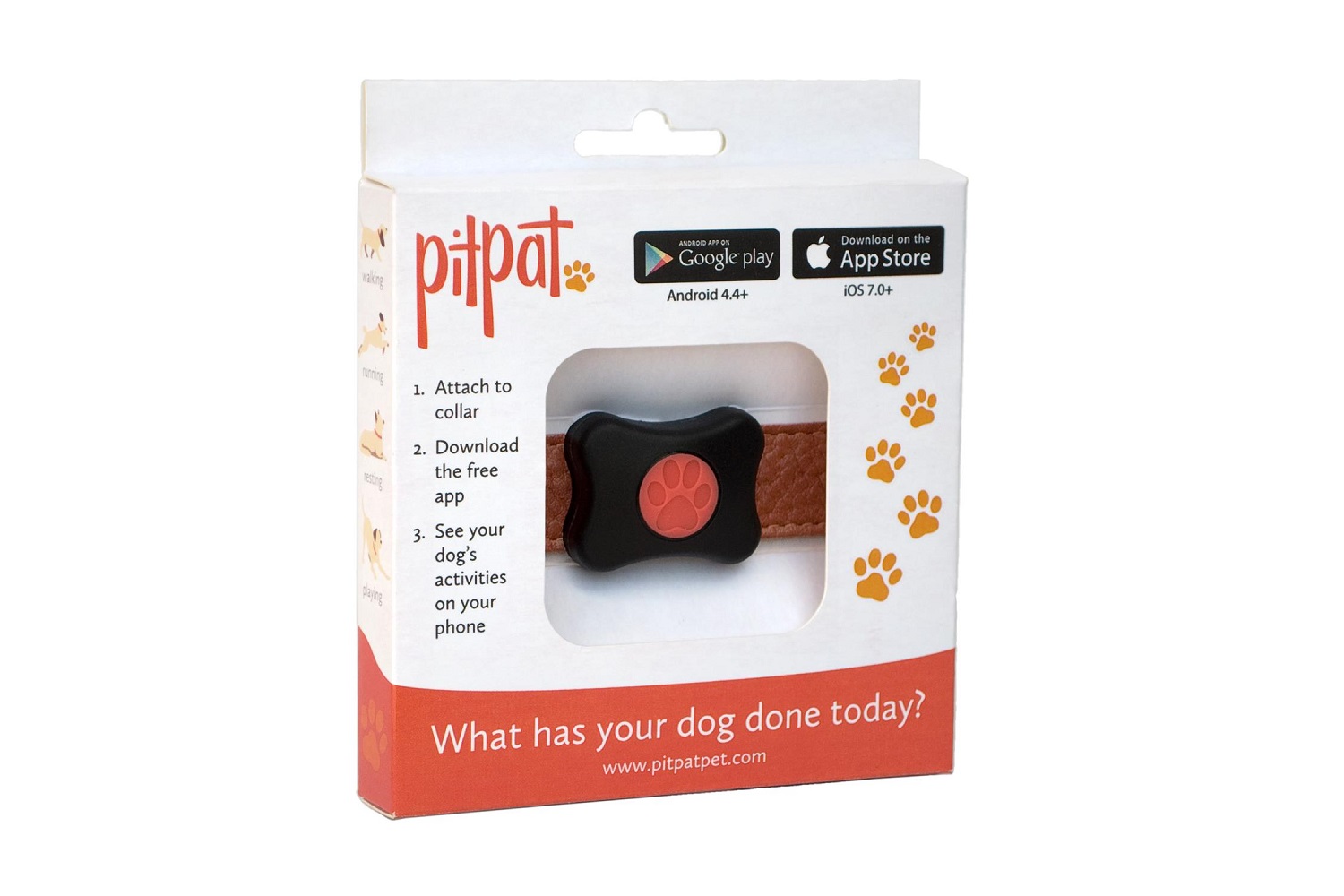 The “PitPat” – An activity monitor for dogs
